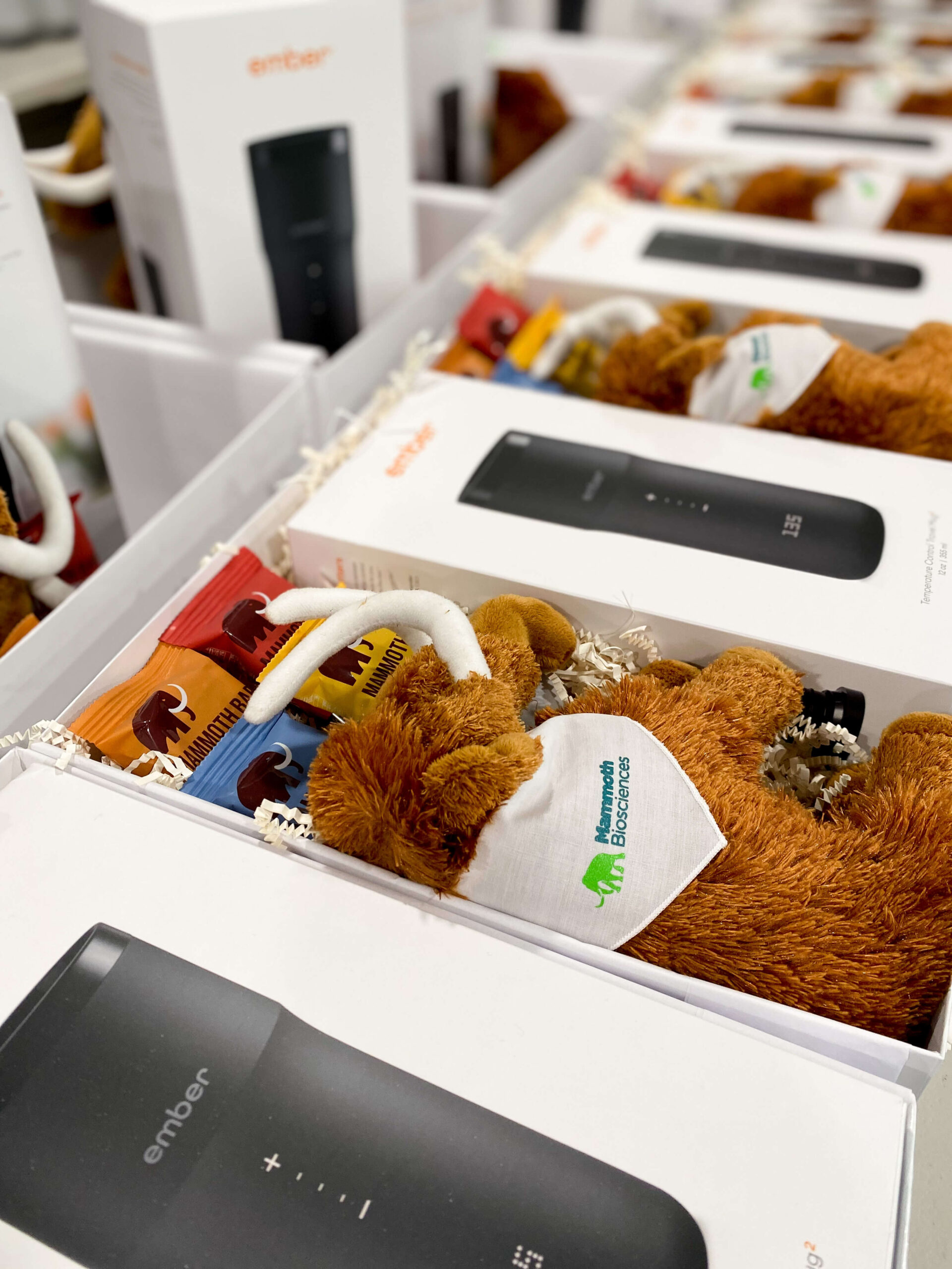 Employee Recognition Gift Boxes - boxwoodgift.com